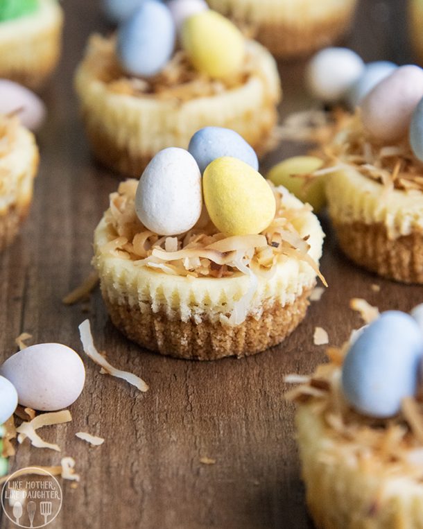 Easter Egg Mini Cheesecakes – Like Mother, Like Daughter