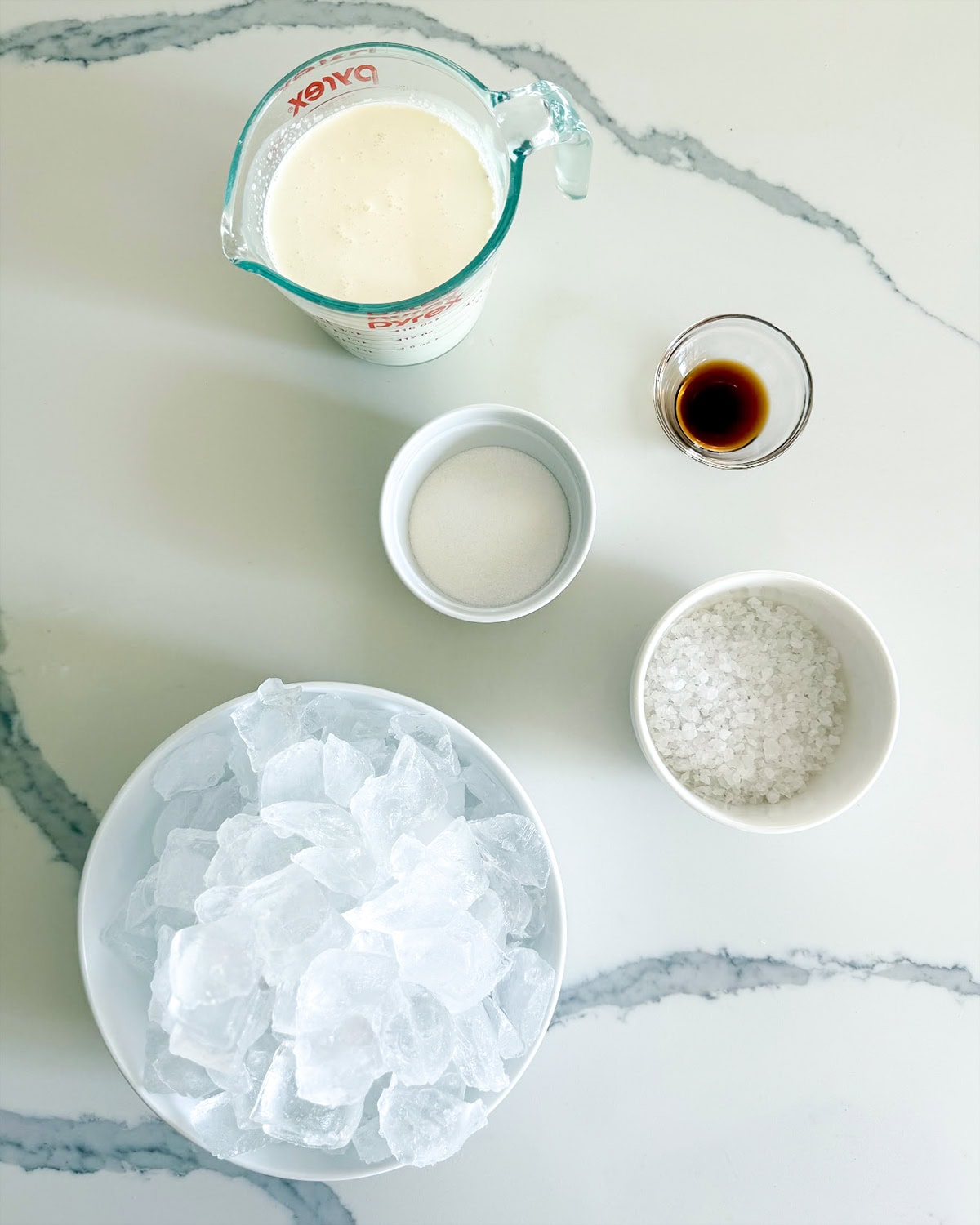 How to Make Ice Cream in a Bag Recipe – Like Mother, Like Daughter
